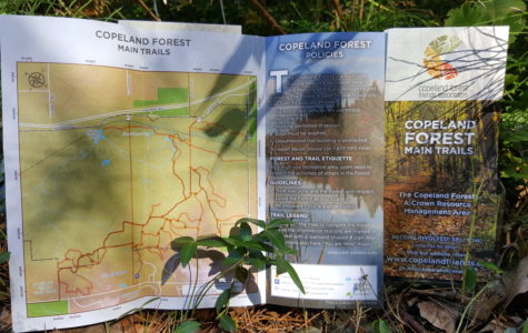 Trail Map – Copeland Forest Friends