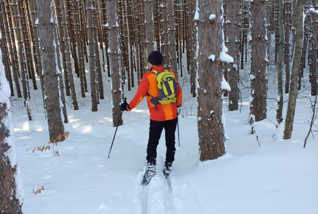 Winter Parking Access – Copeland Forest Friends